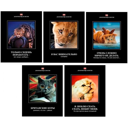 Купить Тетрадь 48 листов, А5 формат, Hatber "Демотиваторы 12", в клетку, на скобе: в Алмате ...